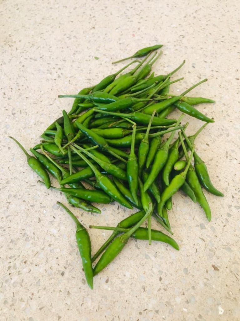 PETIT PIMENT VERT / SMALL GREEN CHILLI (BQT) - Votre Pôte Agé Eshop