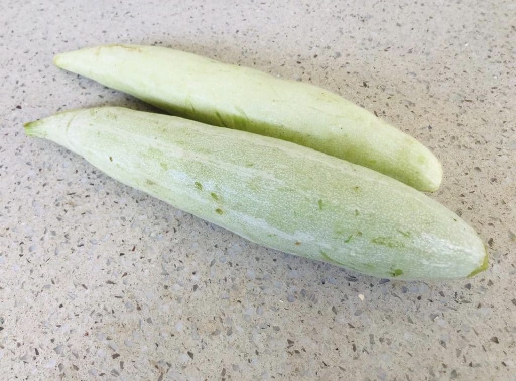 PATOLE (KG) - Votre Pôte Agé Eshop