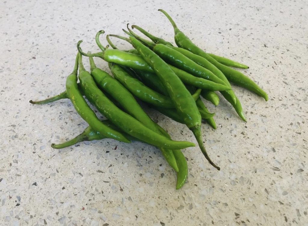 PIMENT VERT / GREEN CHILLI (BQT) - Votre Pôte Agé Eshop