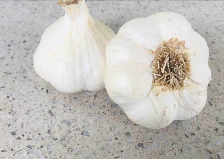 AIL / GARLIC FILET 5 PCS (250G) - Votre Pôte Agé Eshop