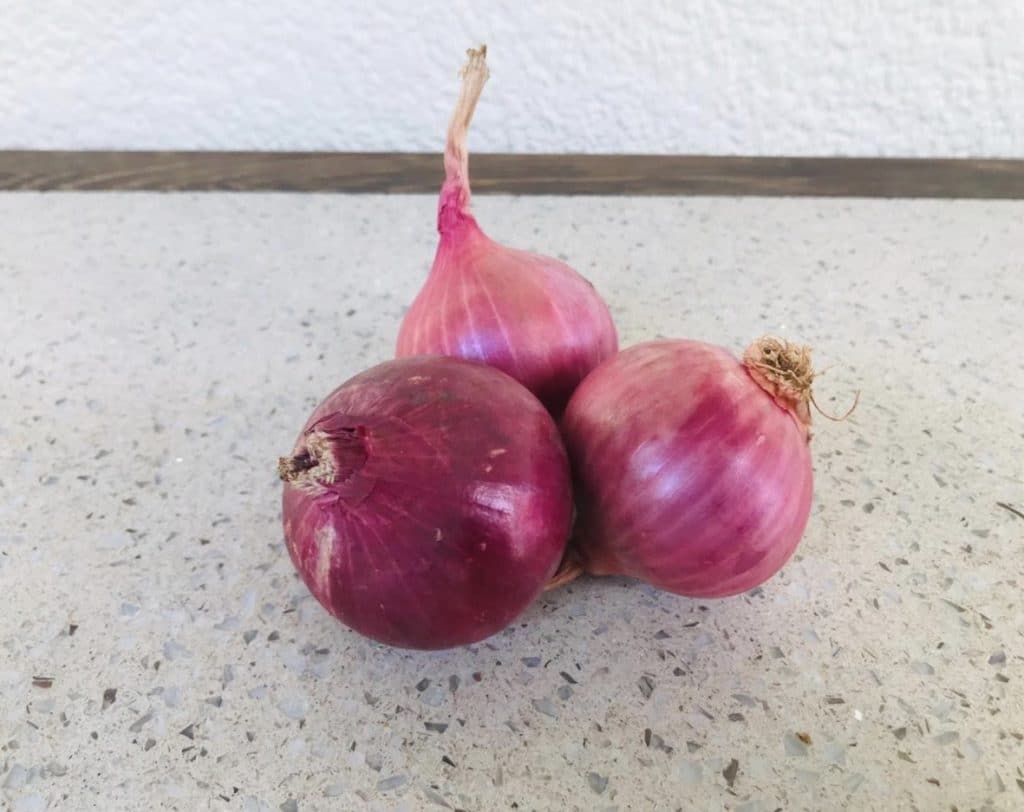 OIGNON NETTOYE / ONION CLEANED AND PACKED (KG) - Votre Pôte Agé Eshop