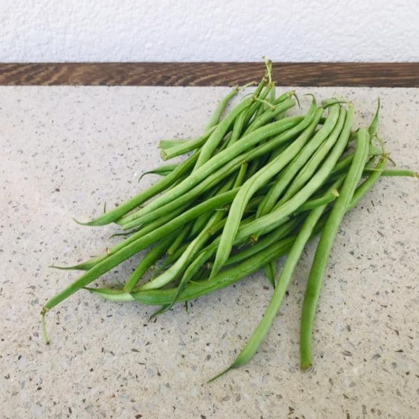 PATOLE (KG) - Votre Pôte Agé Eshop