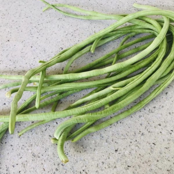 PATOLE (KG) - Votre Pôte Agé Eshop