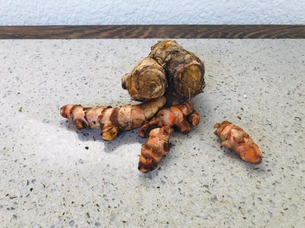 SAFRAN VERT / TUMERIC (200G) - Votre Pôte Agé Eshop